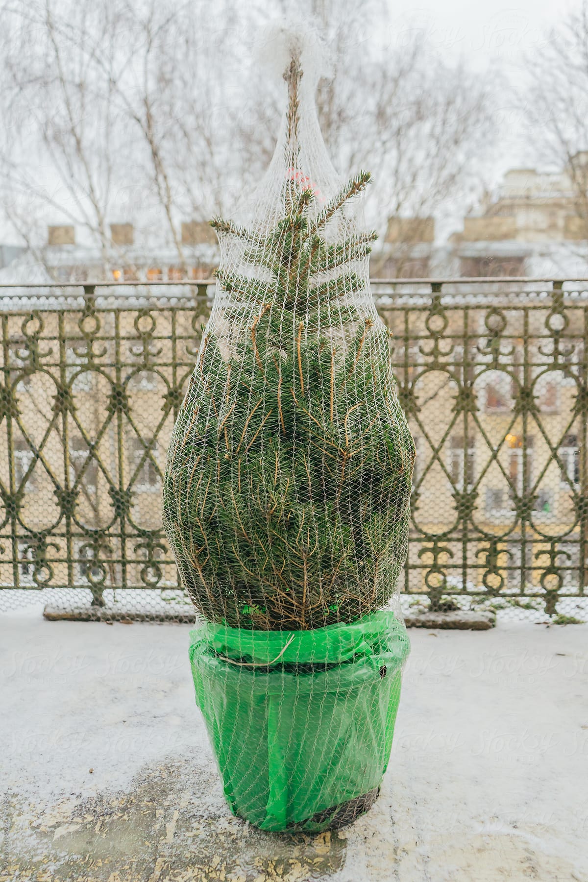 "Christmas Tree Unpacked." by Stocksy Contributor "Luis Velasco" - Stocksy