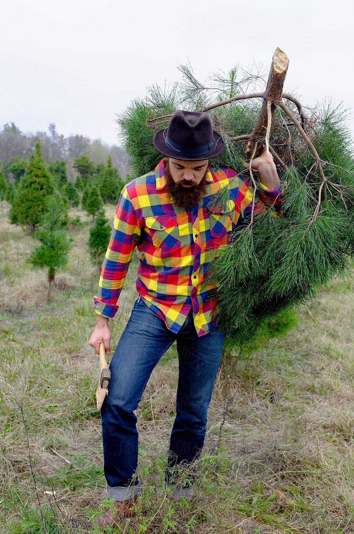 "Carrying The Tree" by Stocksy Contributor "John Dunaway" - Stocksy