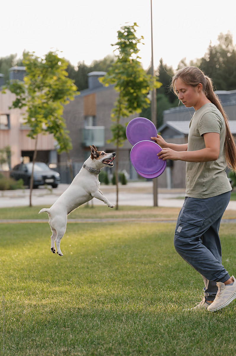 Dog Jumping Frisbee
