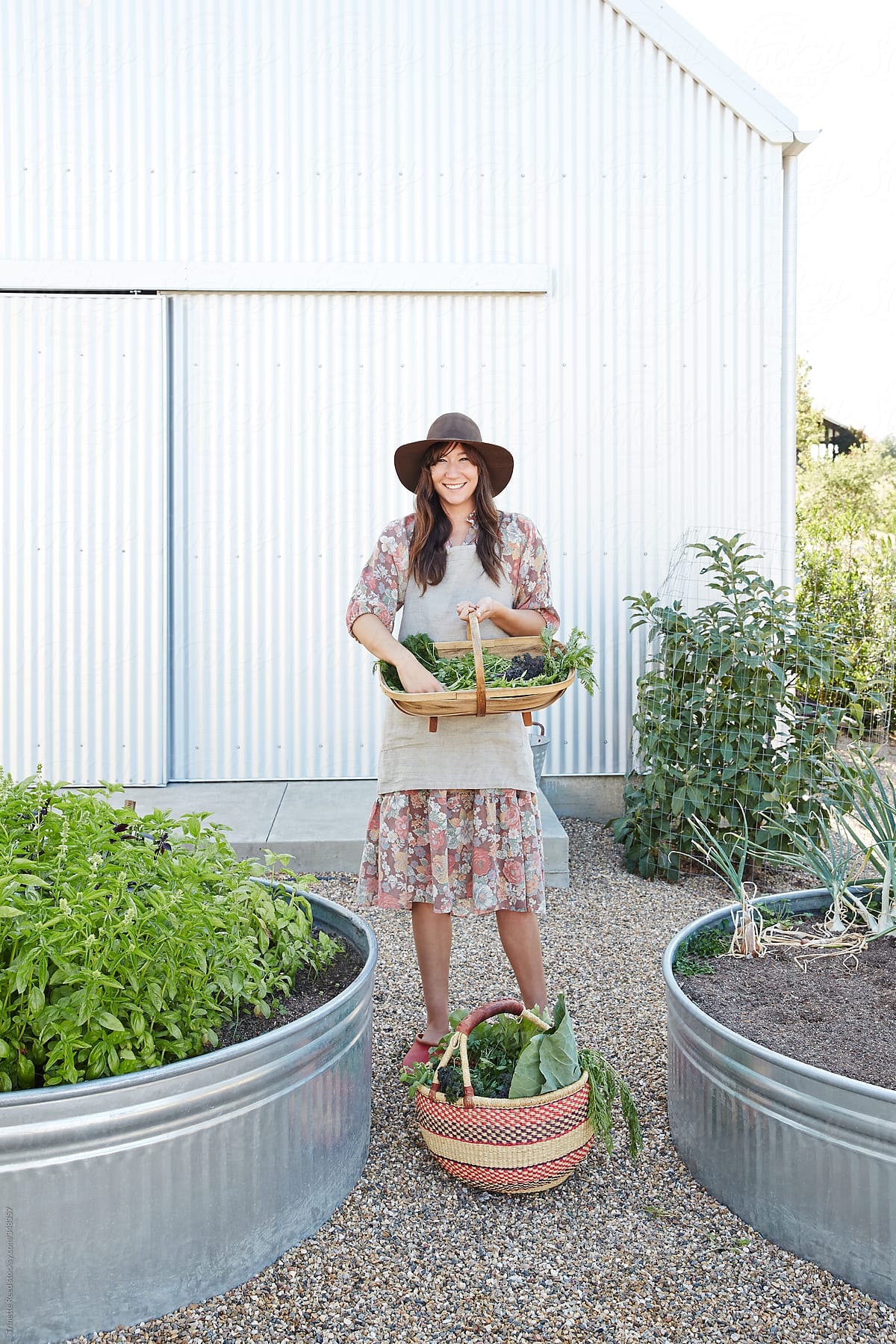 "Woman Gardening In Her Backyard Vegetable Garden" by Stocksy ...