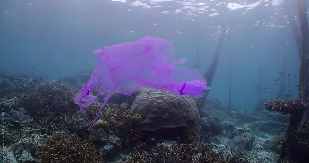 "Ocean Plastic In Coral Reef" by Stocksy Contributor "Nat Sumanatemeya ...