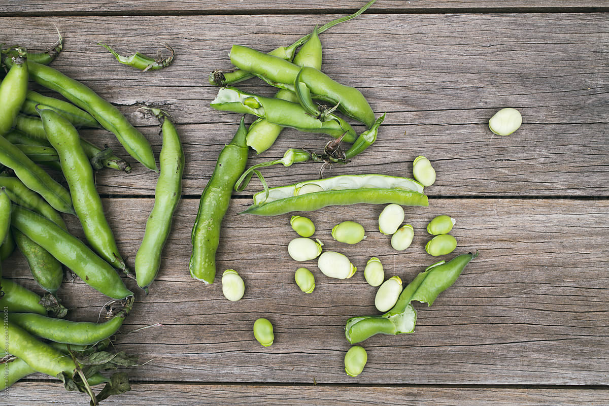"Shelled Broad Bean Pods" by Stocksy Contributor "Rowena Naylor" - Stocksy