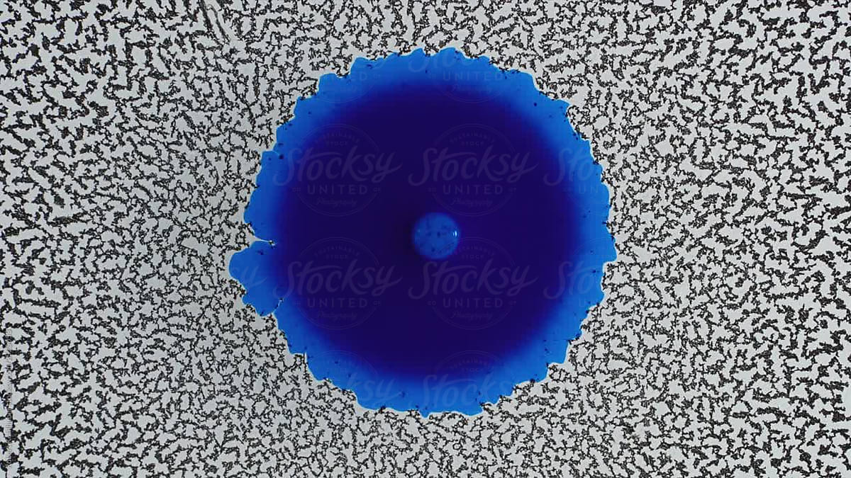 "Blue Dot On Abstract Black And White Pattern" by Stocksy Contributor ...