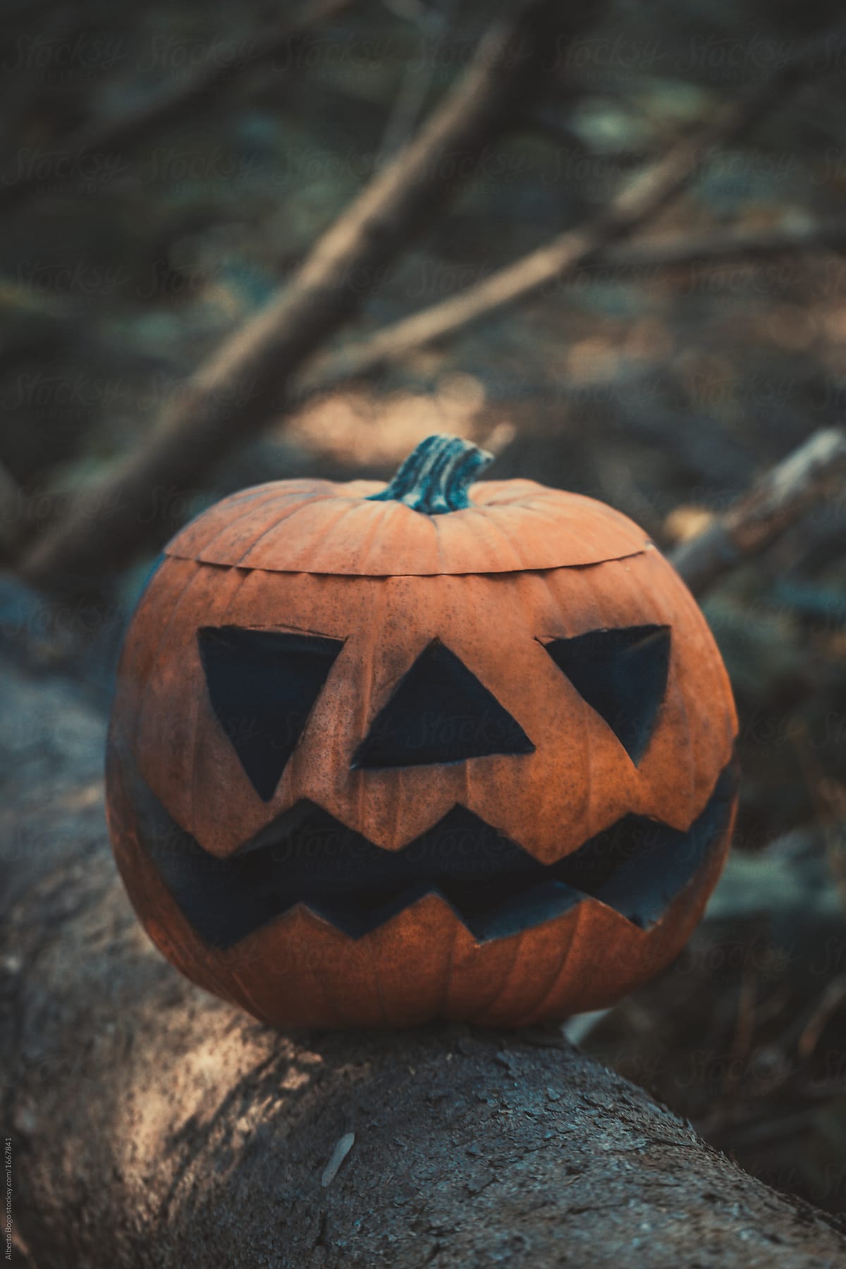 "Pumpkin With Smoke In The Forest" by Stocksy Contributor "Studio Serra ...