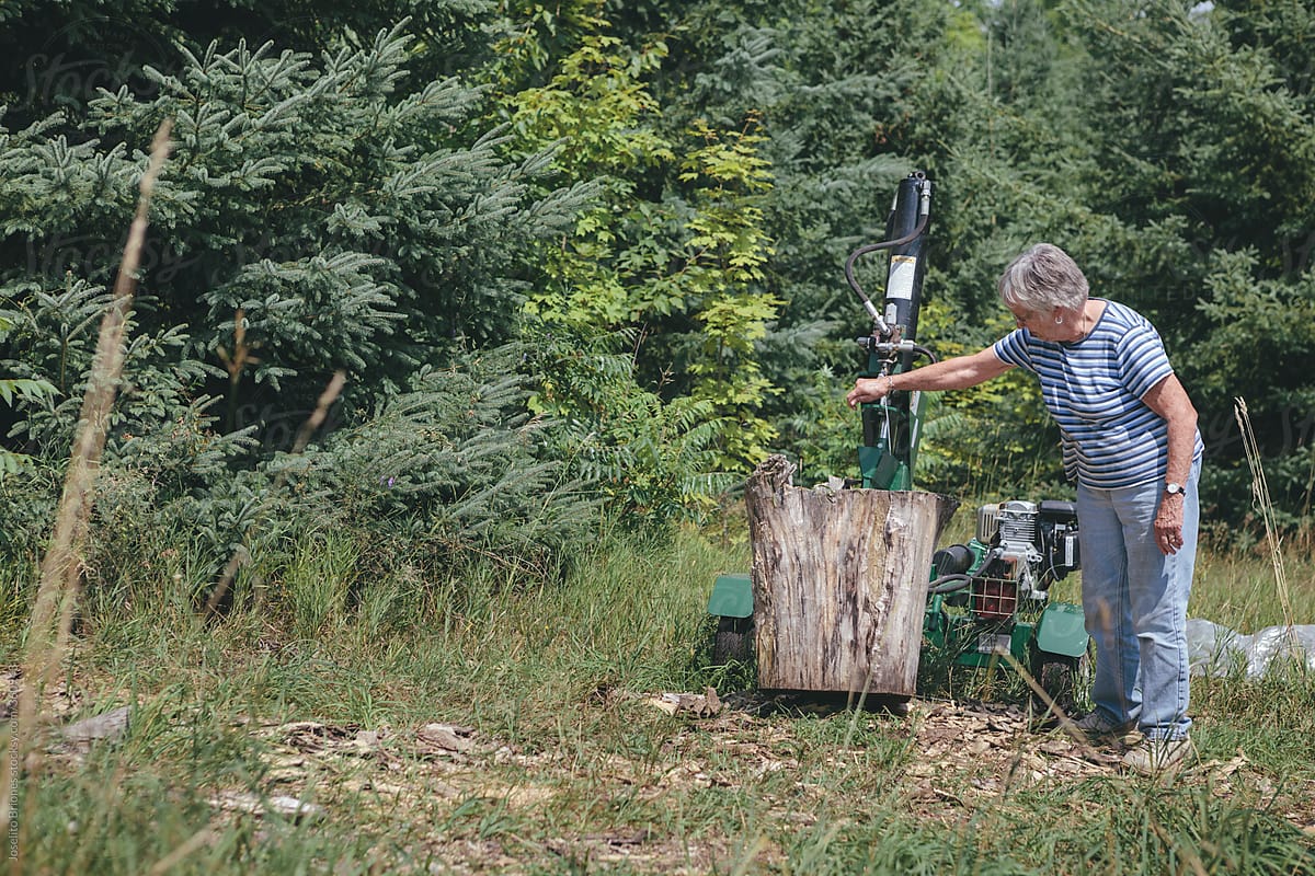 "Senior Woman Splitting Log For Firewood In Preparation For Winter In ...