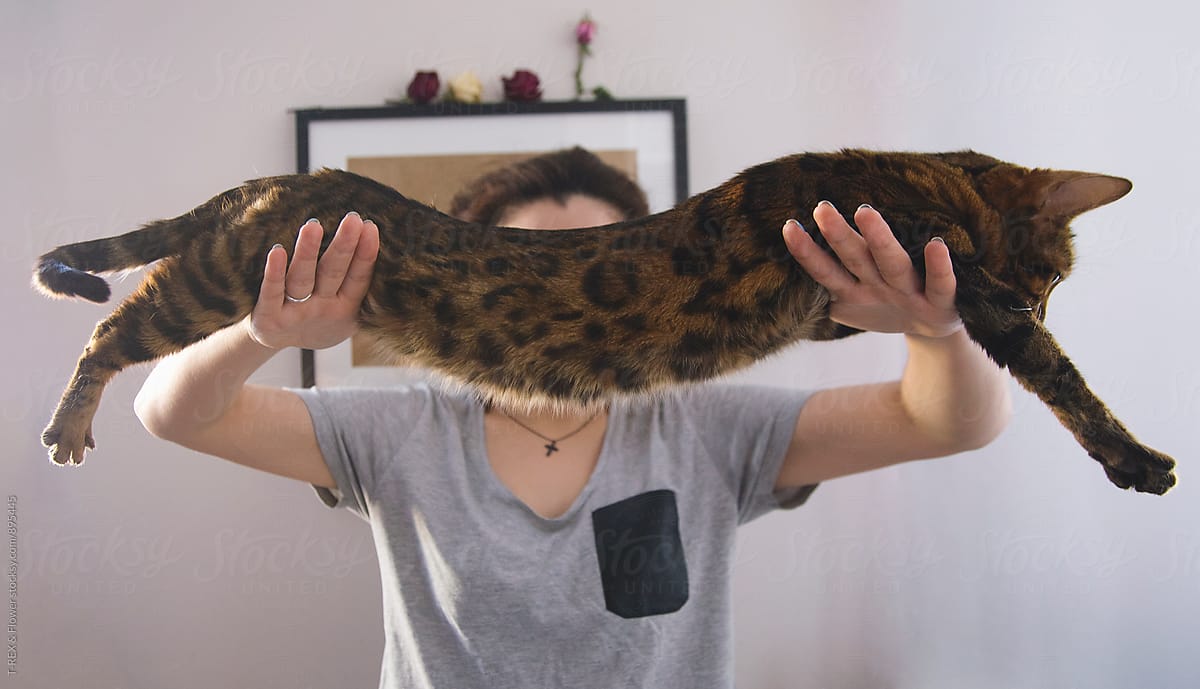 "Woman Holding Cat On Hands" by Stocksy Contributor "Danil Nevsky ...