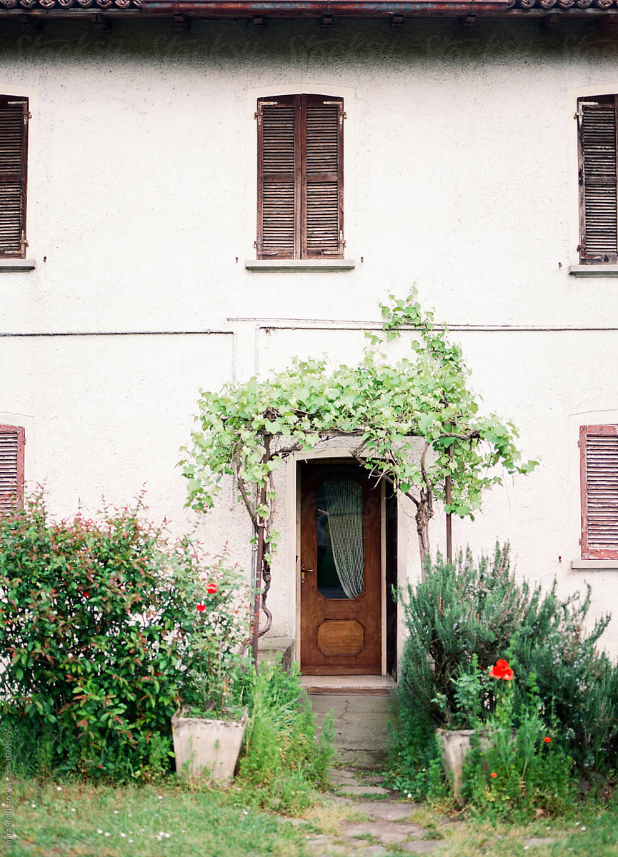 «Vine Climbing On Patio Above Entrance Door In Old Building, Italy» del ...