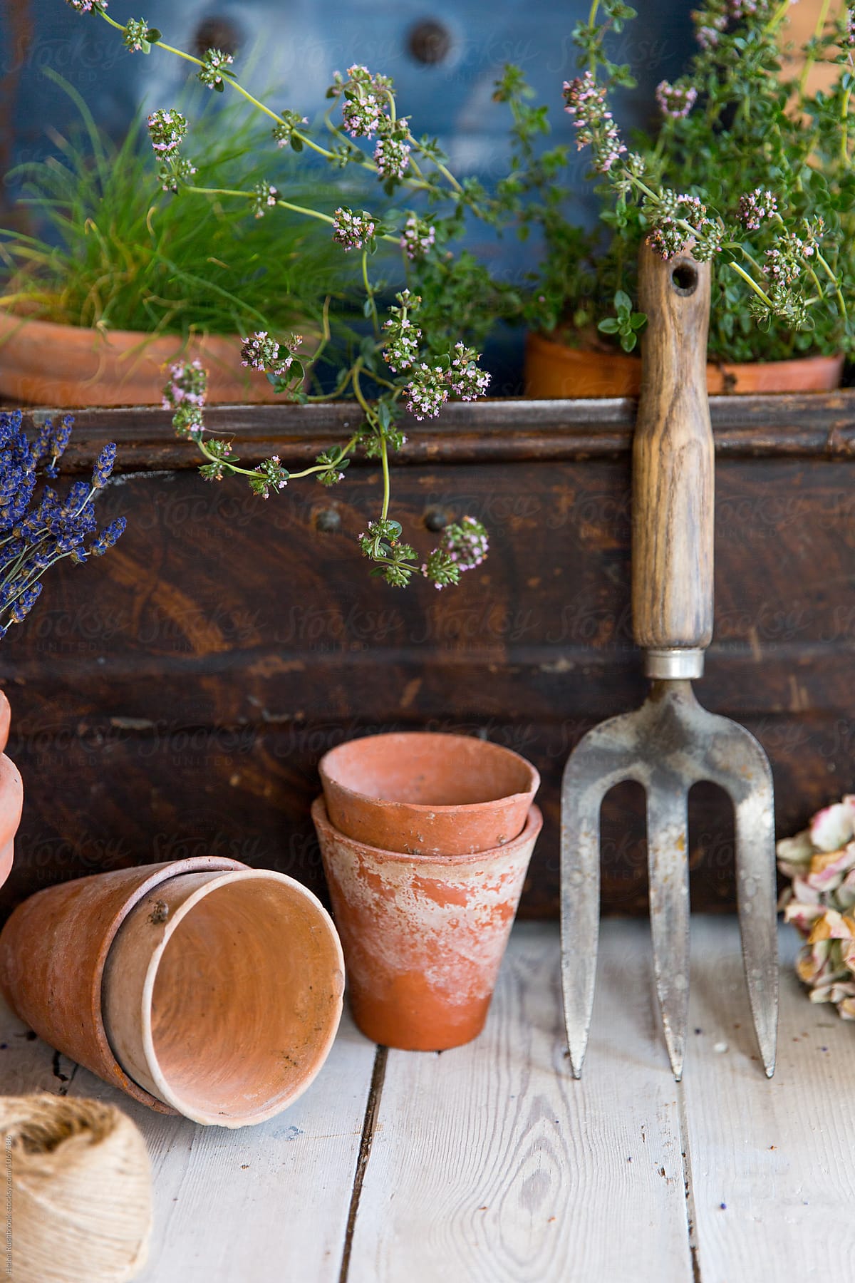 "Vintage Gardening Tools, Plant Pots And Metal Chest." by Stocksy ...