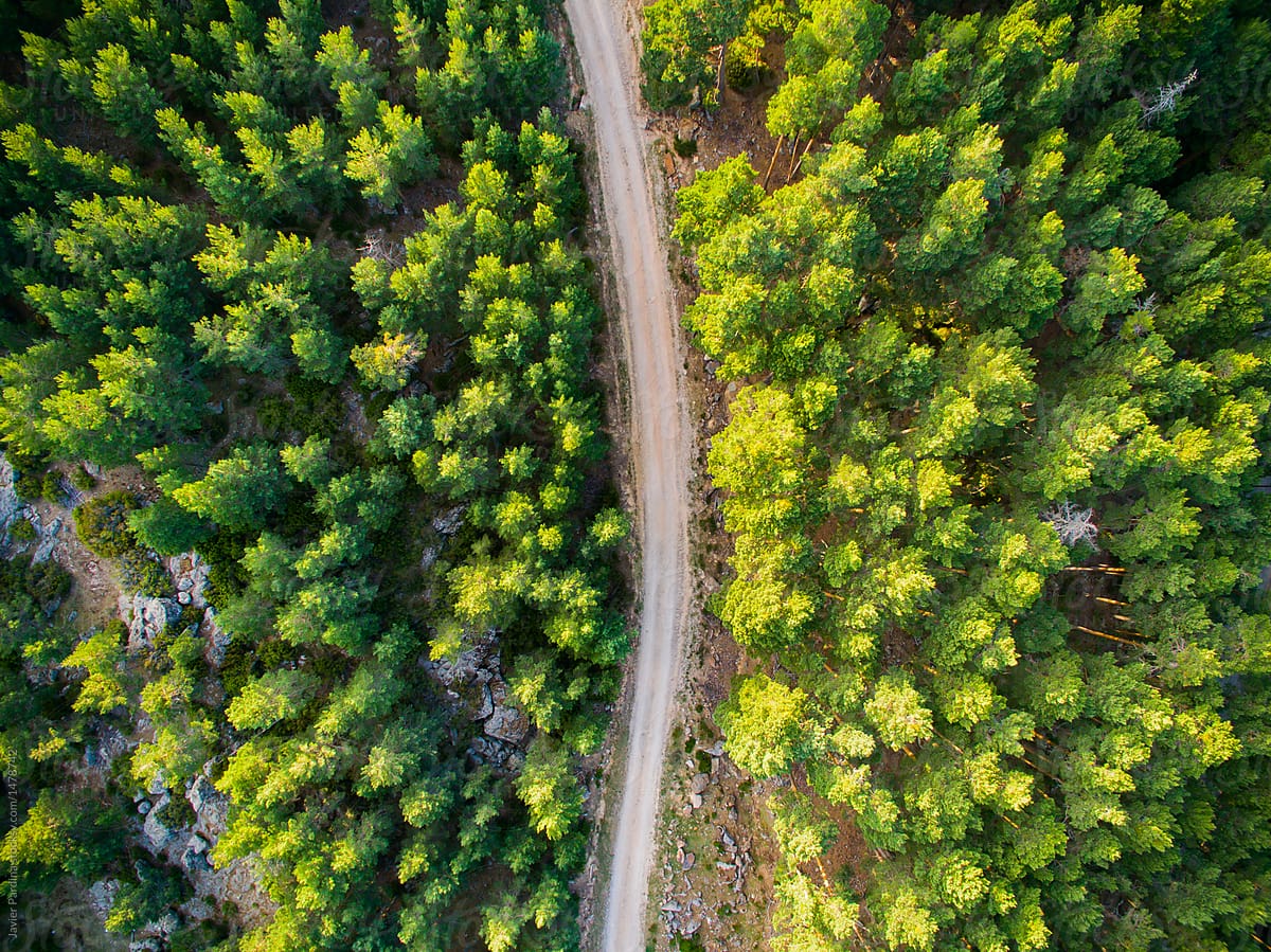 "Aerial Scene Of The Green Woods Of High Mountains." by Stocksy ...