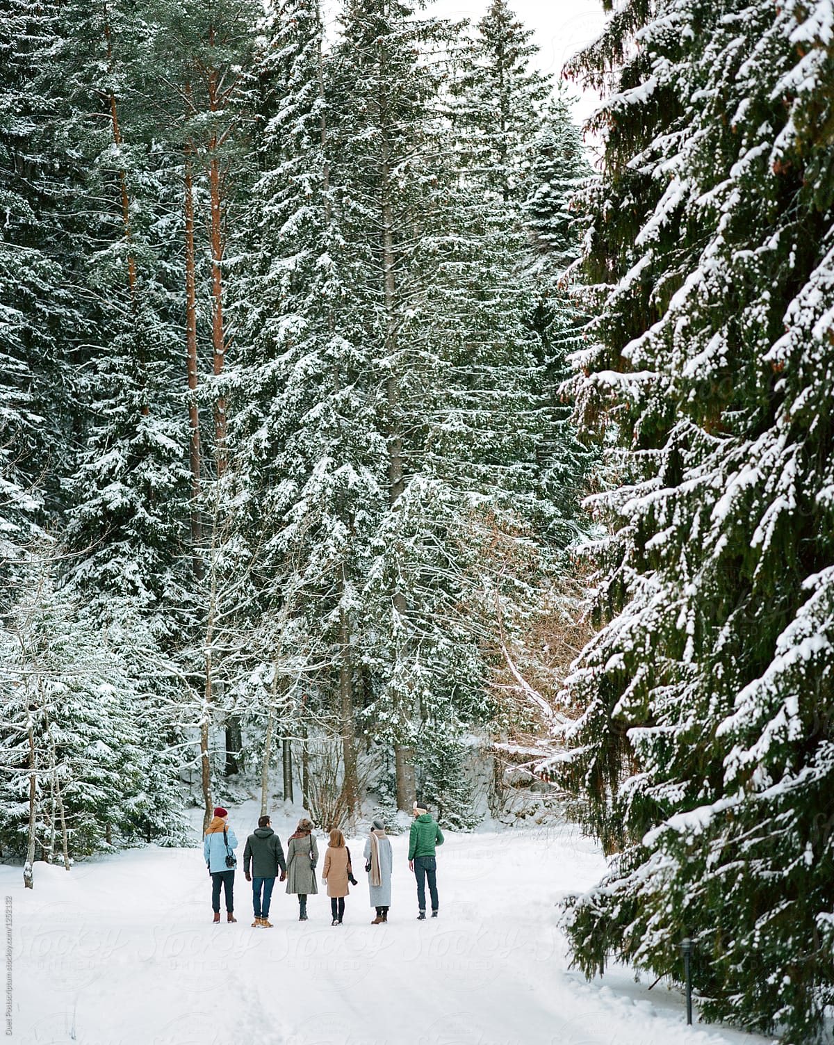 "A Group Of Friends In The Winter Woods" by Stocksy Contributor "Duet ...