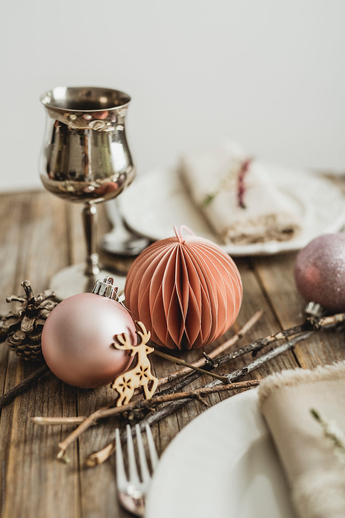 "Christmas Place Setting" by Stocksy Contributor "Tatjana Zlatkovic ...