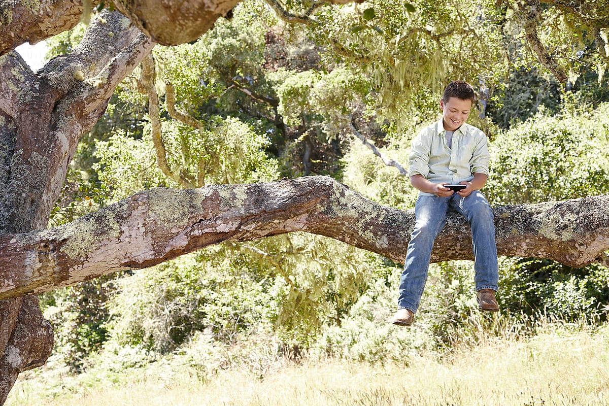 "Little Boy Sitting In An Oak Tree In Nature Looking At His Phone" by ...