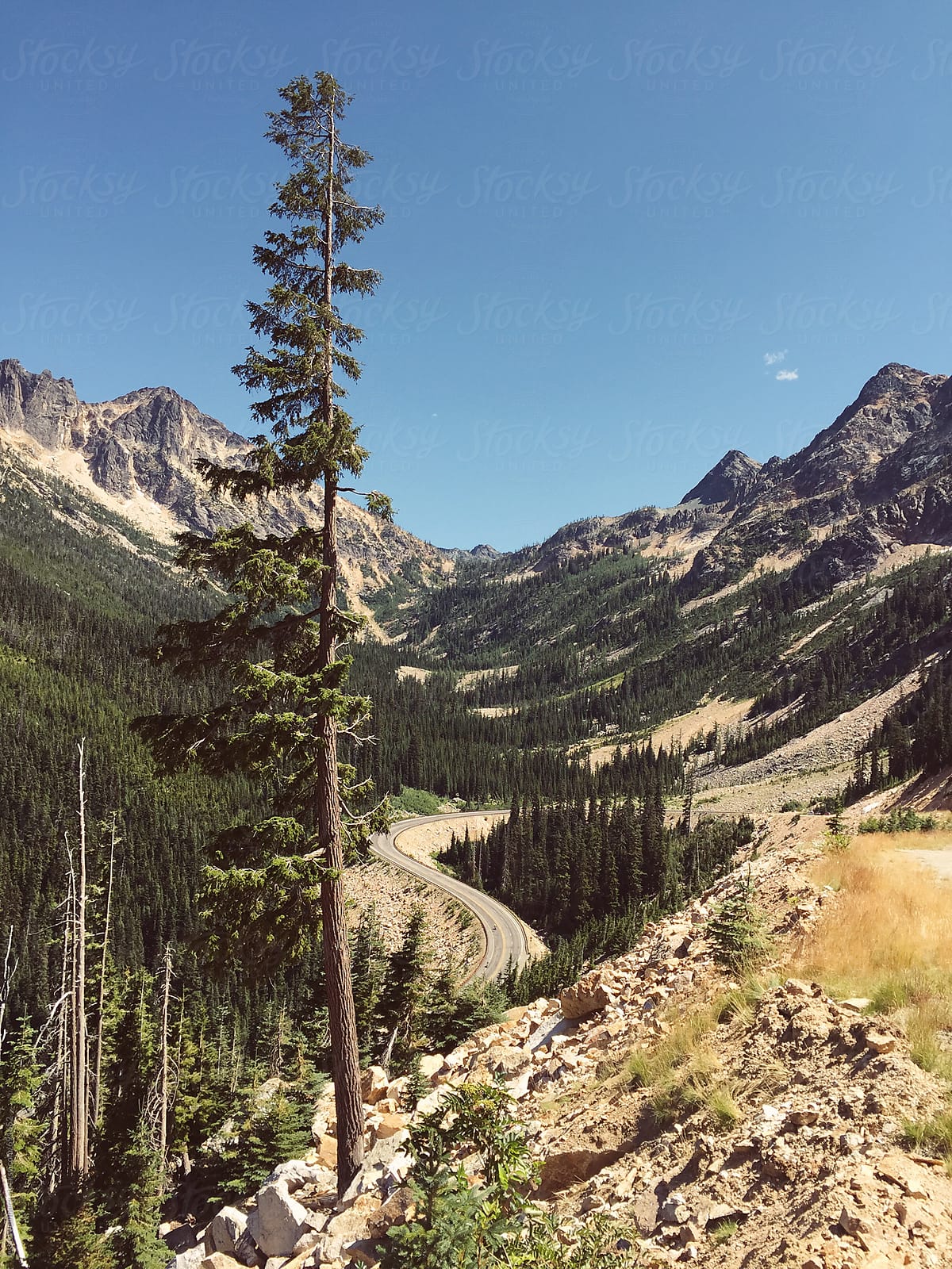 "Alpine Wilderness" by Stocksy Contributor "Jesse Weinberg" - Stocksy