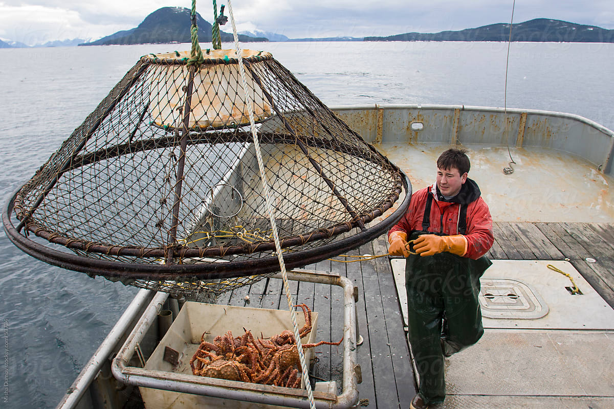 "Commercial Golden King Crab Fisherman In Southeast Alaska" by Stocksy ...