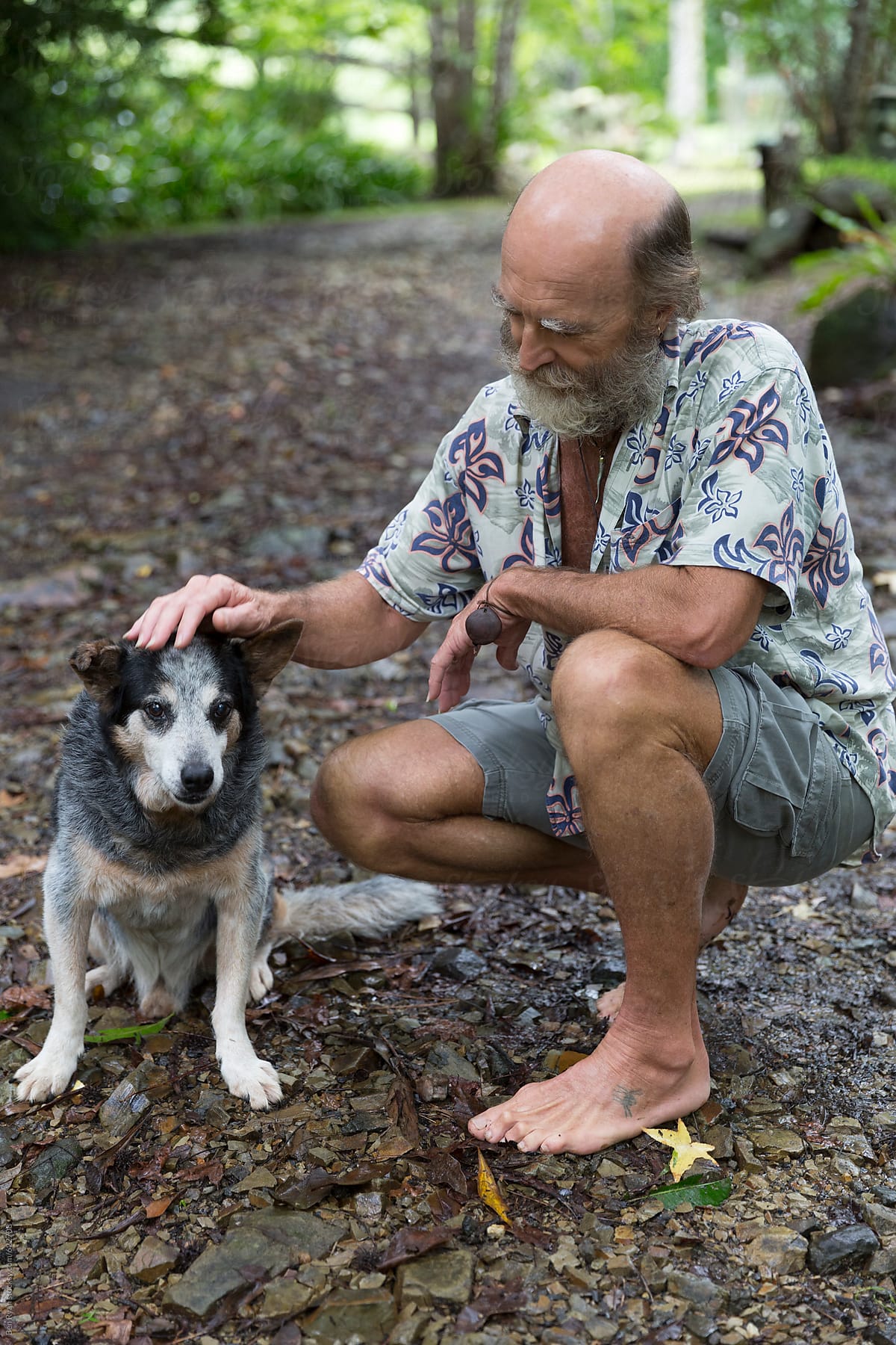 "Senior Alternative Lifestyle Male Squatting And Patting Old Dog" by ...