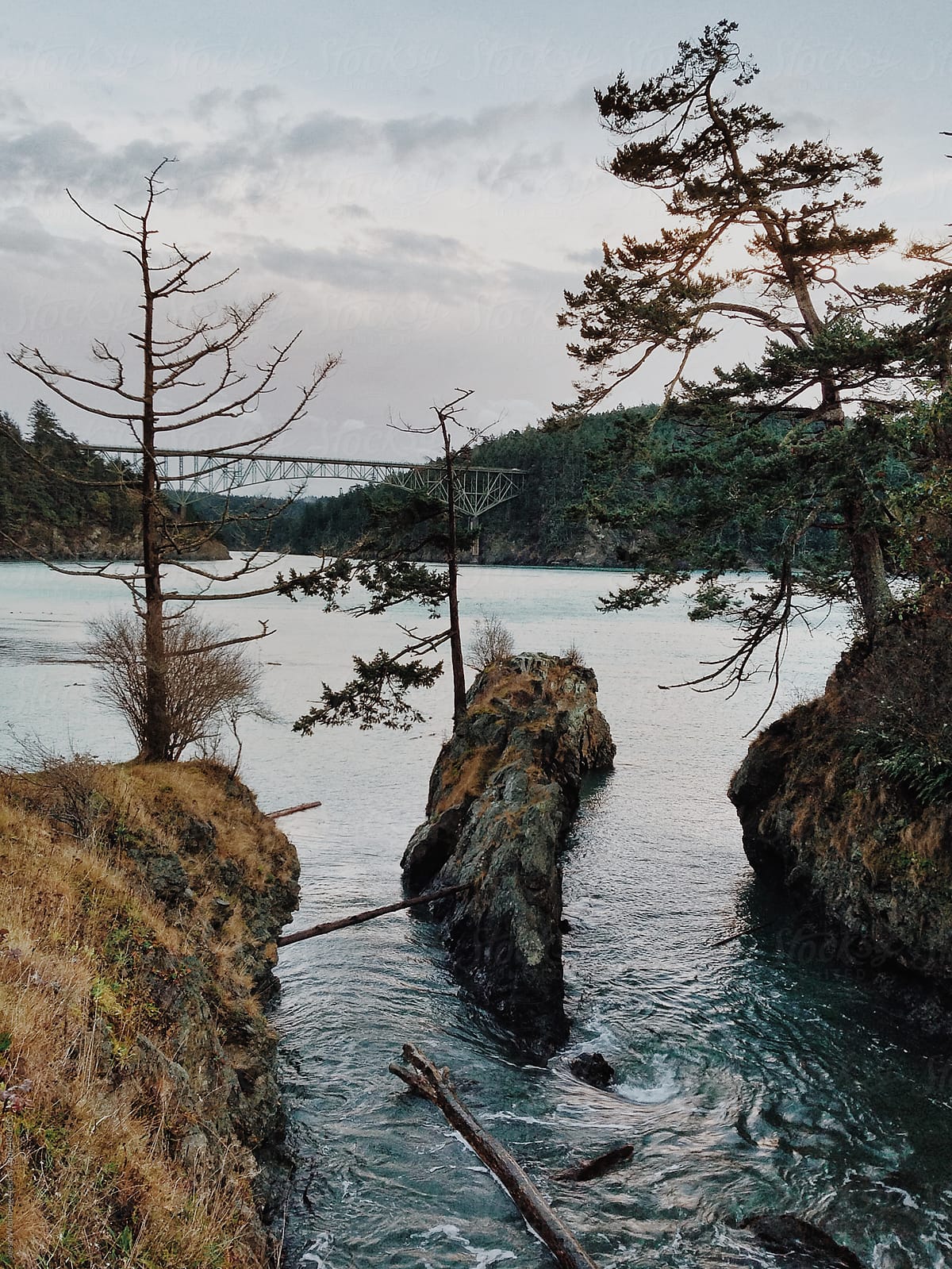 "Nature View" by Stocksy Contributor "Jesse Weinberg" - Stocksy