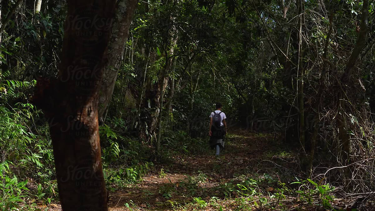 "Girl Walking In The Rainforest." by Stocksy Contributor "Luis Velasco ...