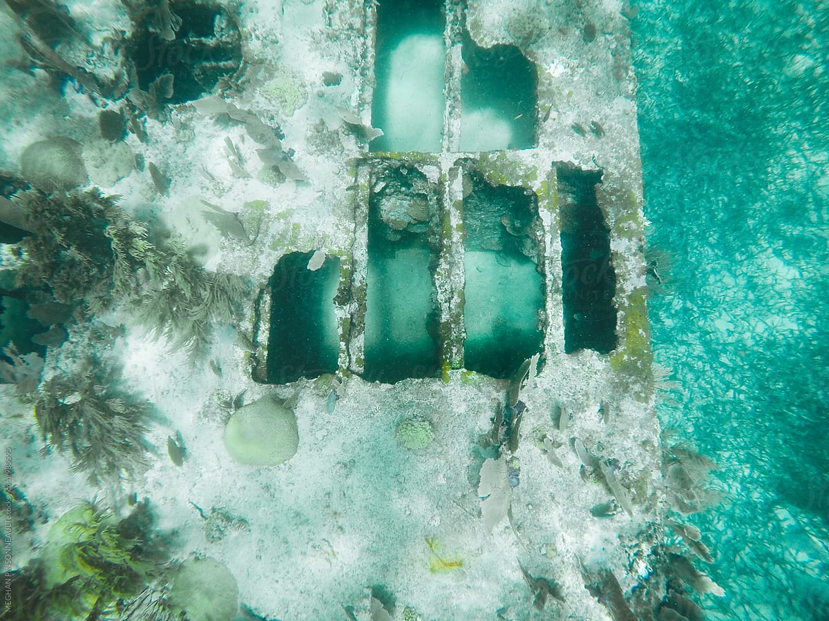 "Tropical Underwater Shipwreck" by Stocksy Contributor "Meg ...