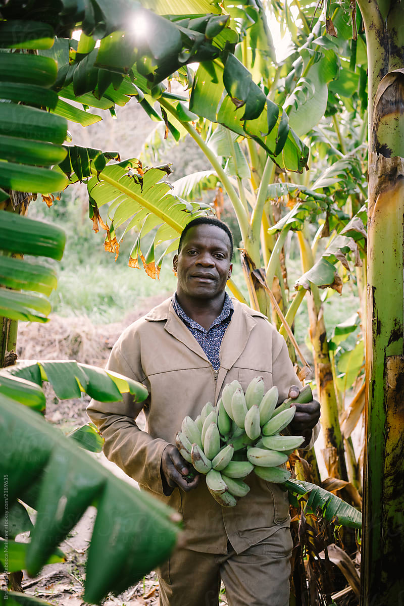 "Banana Farmer" by Stocksy Contributor "Bruce And Rebecca Meissner ...