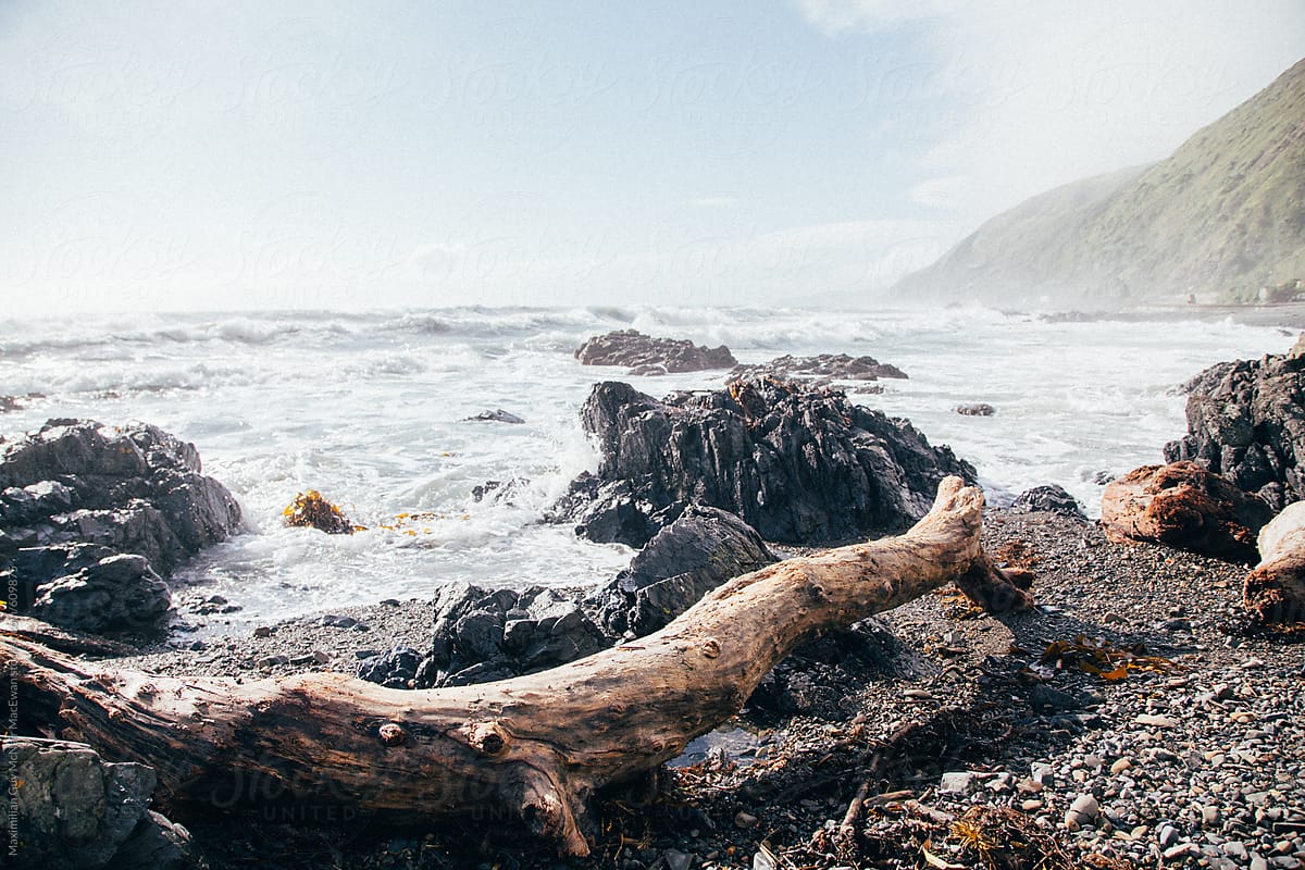 "The Kapiti Coast Of New Zealand" by Stocksy Contributor "Maximilian ...