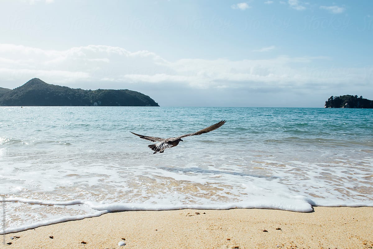 "Taking Flight" by Stocksy Contributor "Dom Stuart" - Stocksy