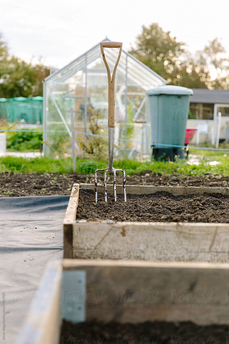 "Garden Fork Standing Up In Raised Bed" by Stocksy Contributor "Kirsty ...