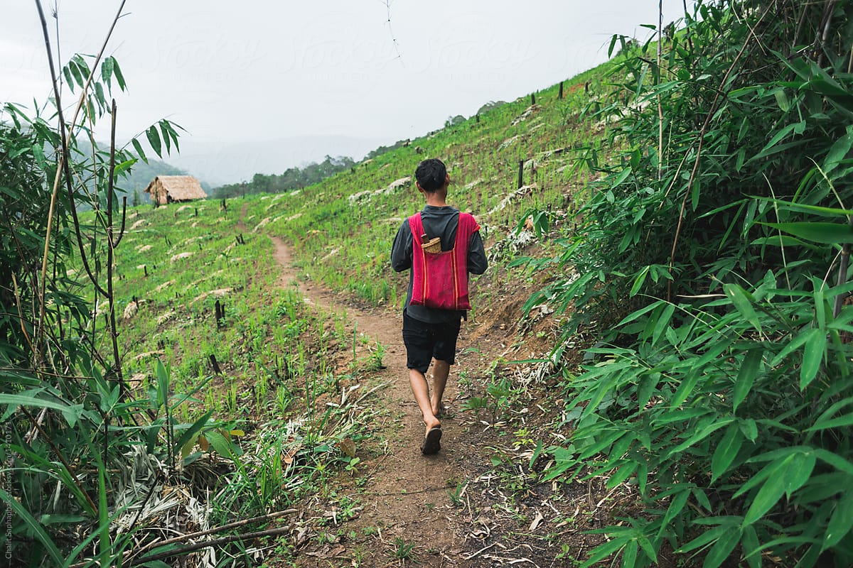 "Karen People In His Rotational Farming" by Stocksy Contributor "Chalit ...