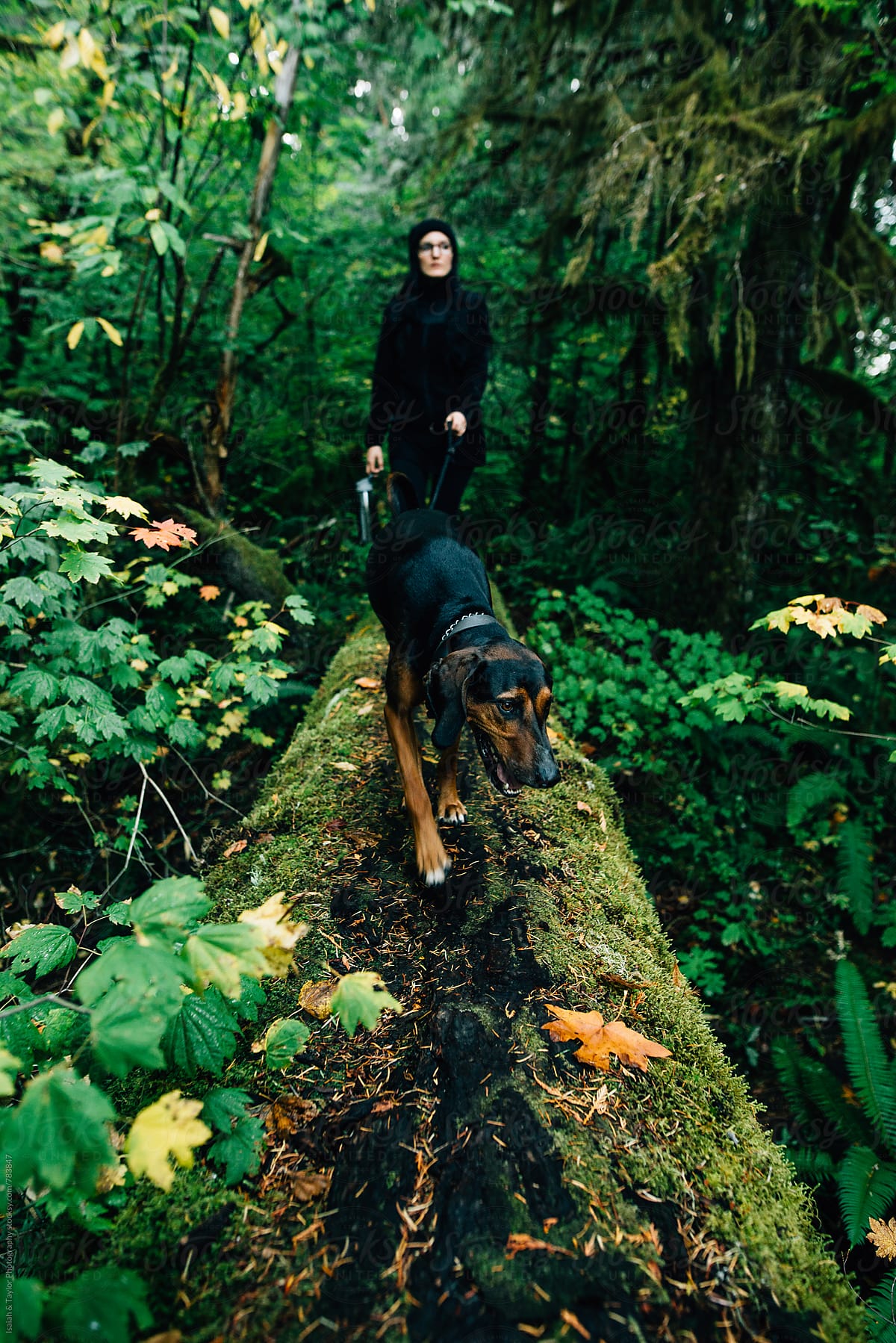"Person Walking With Dog" by Stocksy Contributor "itla" - Stocksy