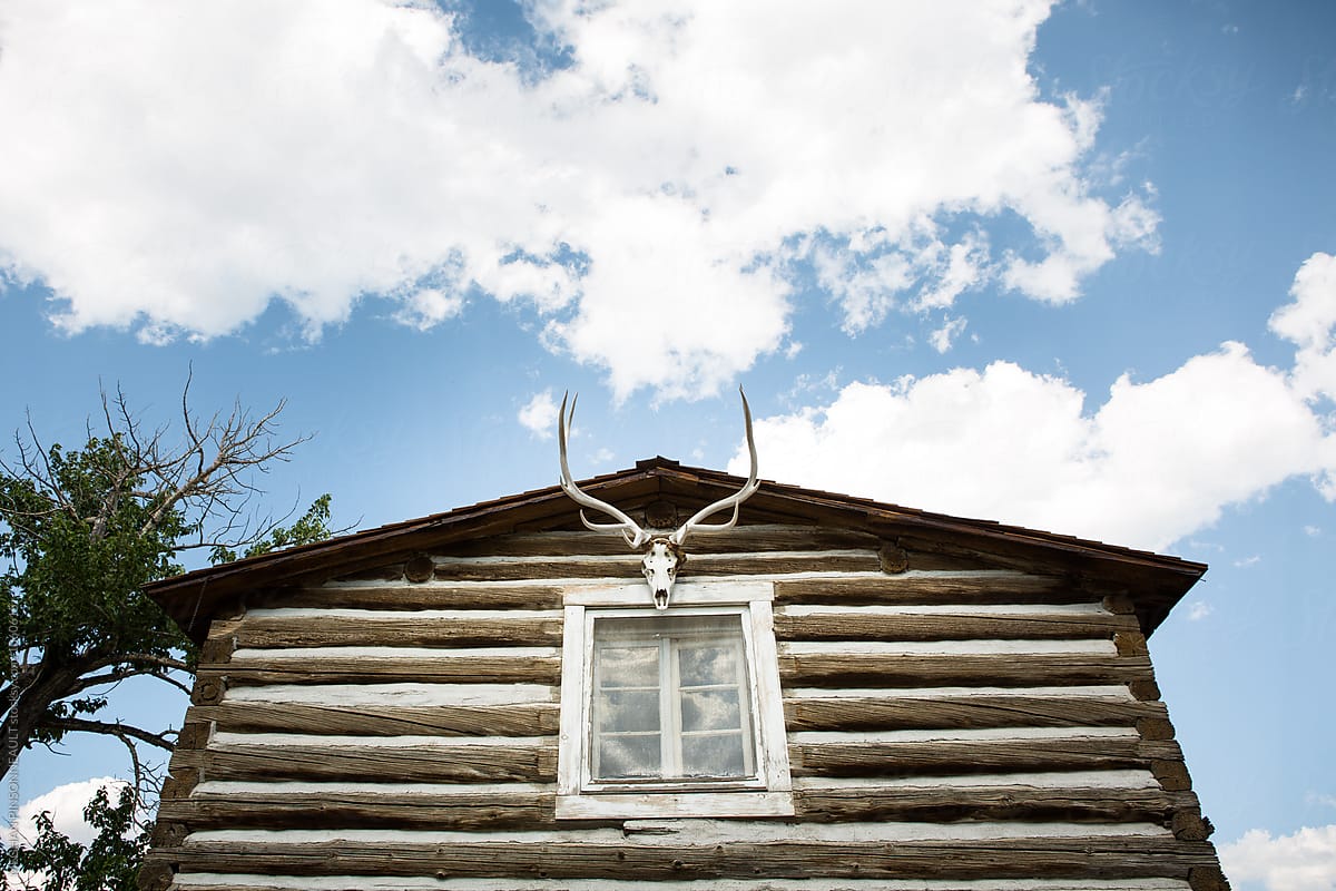 "Historic Log Cabin With Skull And Antlers" by Stocksy Contributor ...