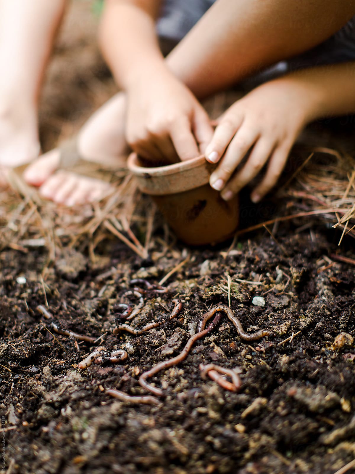 Worm Release - Stock Image - Everypixel