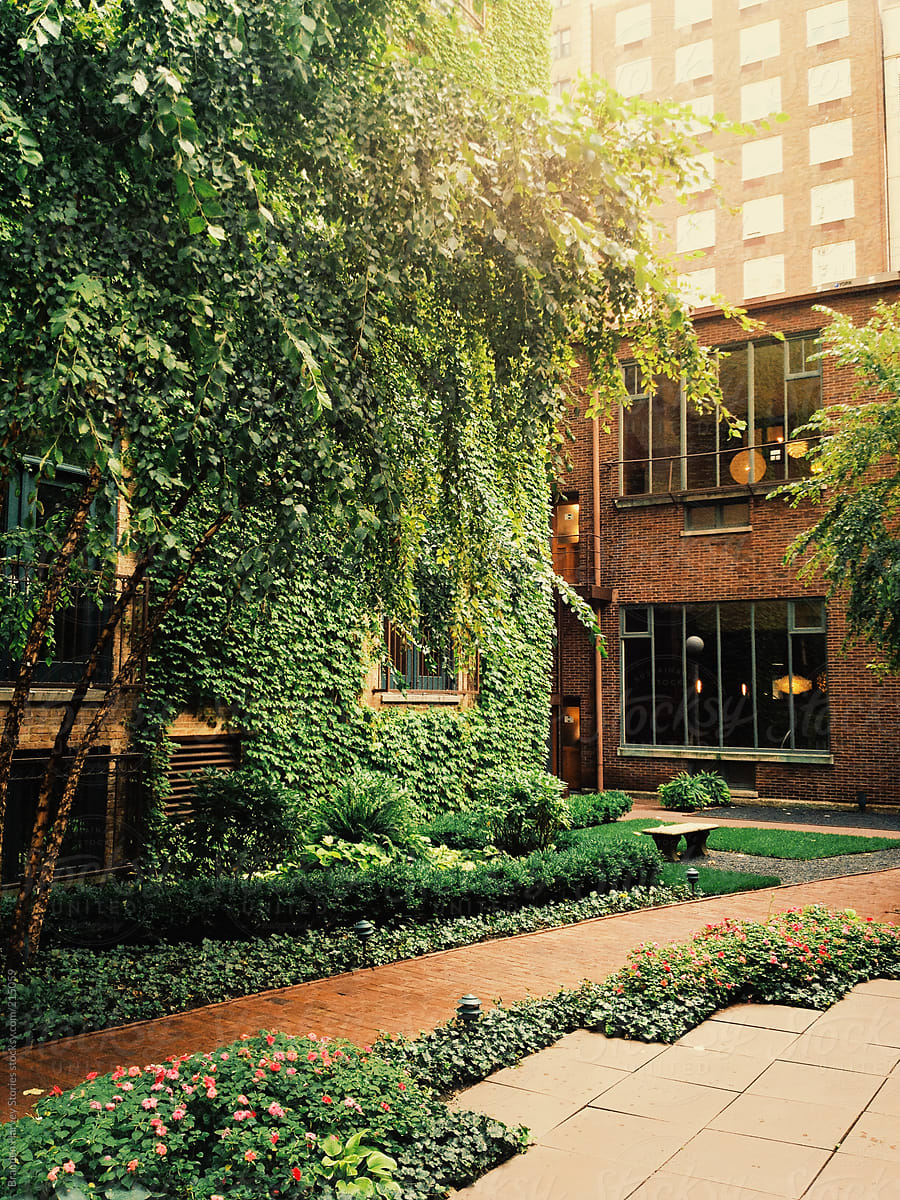 "Beautiful Light Hitting Building Covered In Beautiful Green Plants" by ...