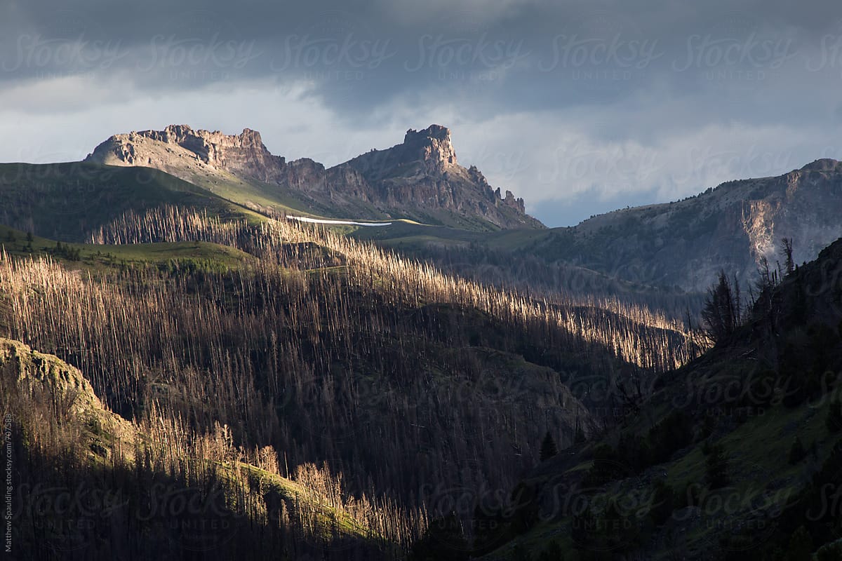 "Trees Burned From Forest Fire On Remote Wilderness Mountain Landscape ...