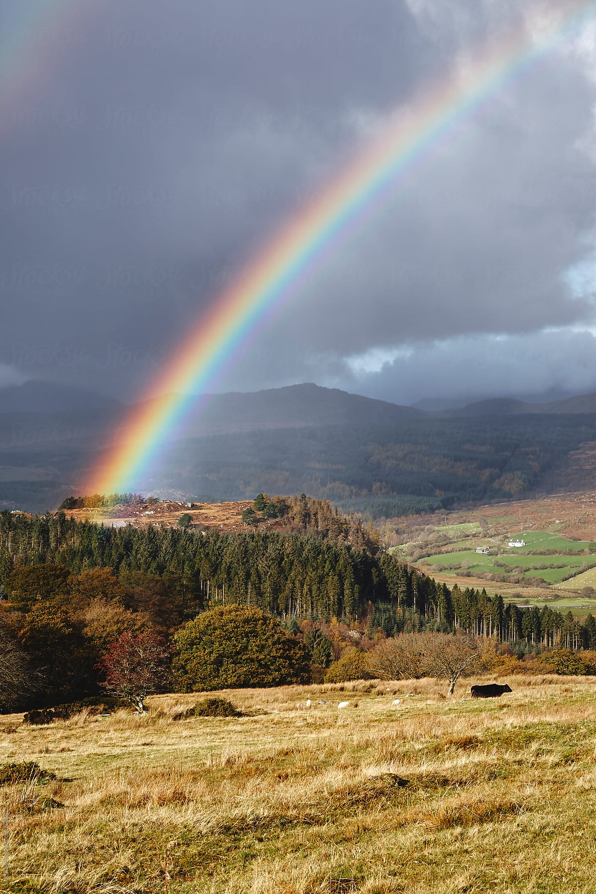 "Rainbow Over Hafod Gwenllian. Snowdonia, Wales, UK." by Stocksy ...