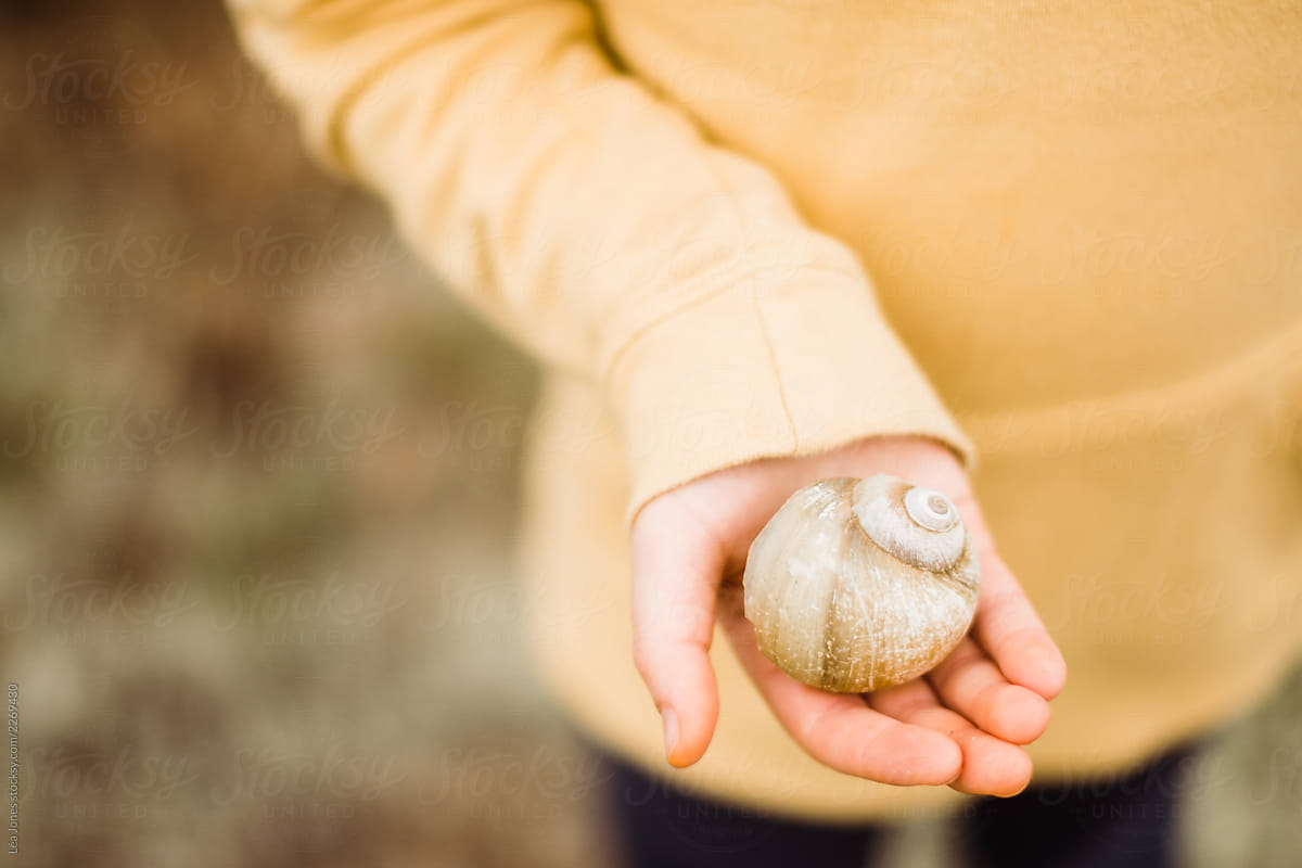 "Hand Of Boy Holding A Seashell" by Stocksy Contributor "Lea Jones ...