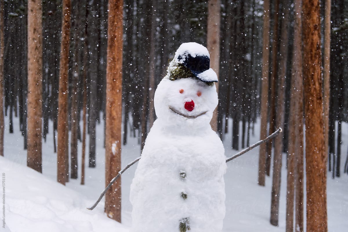 "Snowman Standing In Snowy Conditions" by Stocksy Contributor "Angela ...