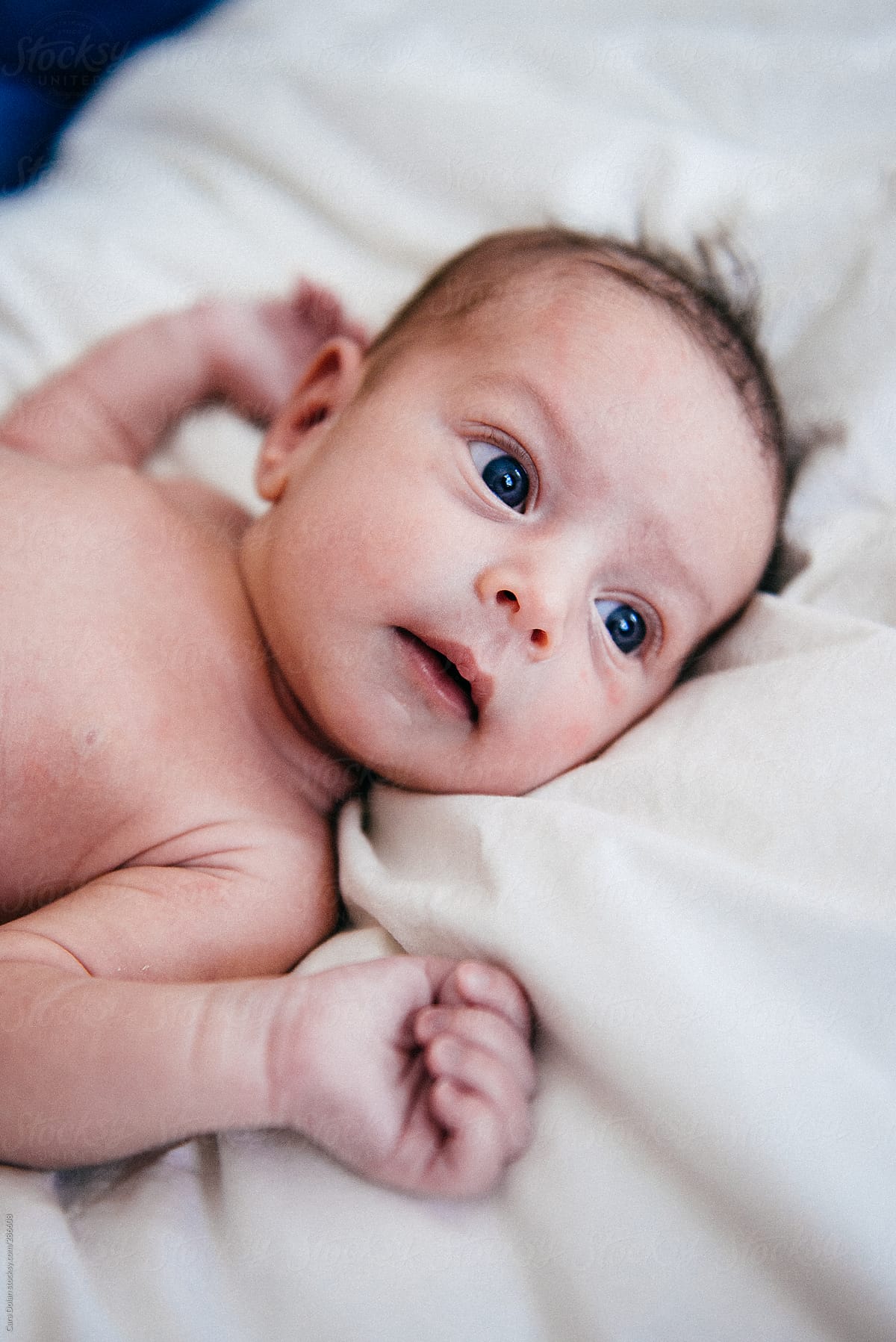 "Newborn Baby Lies On Bed, Looking Around" by Stocksy Contributor "Cara ...