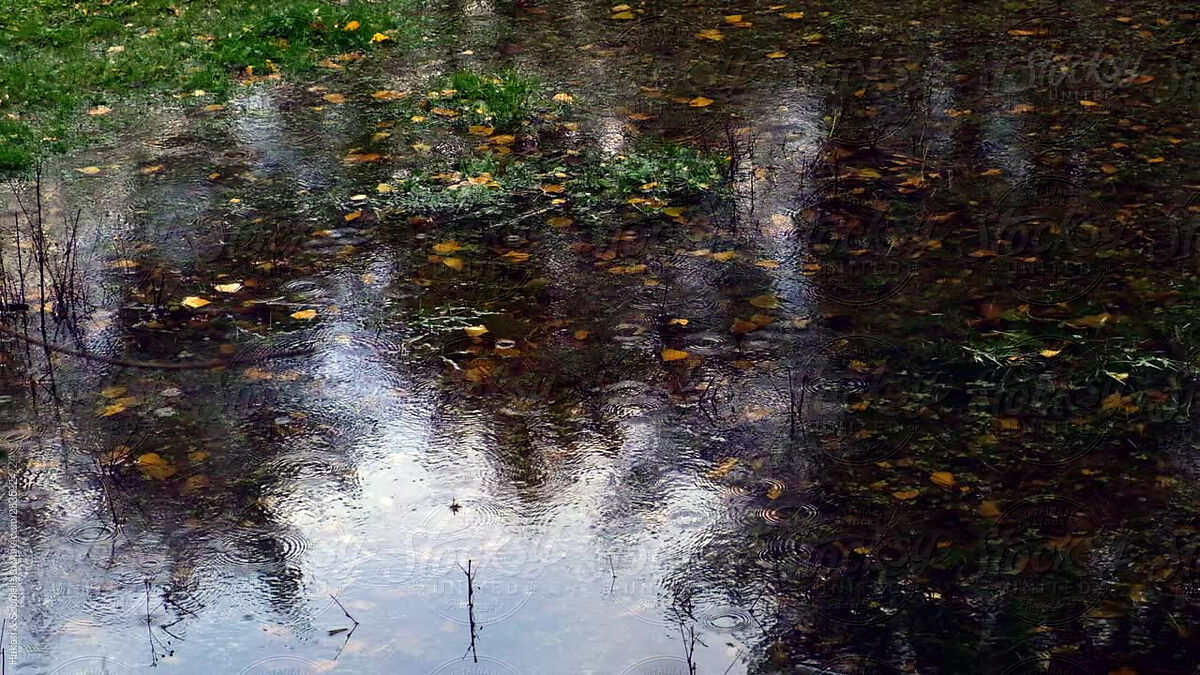 "Raindrops Falling On A Shallow Puddle" by Stocksy Contributor "Hakan ...