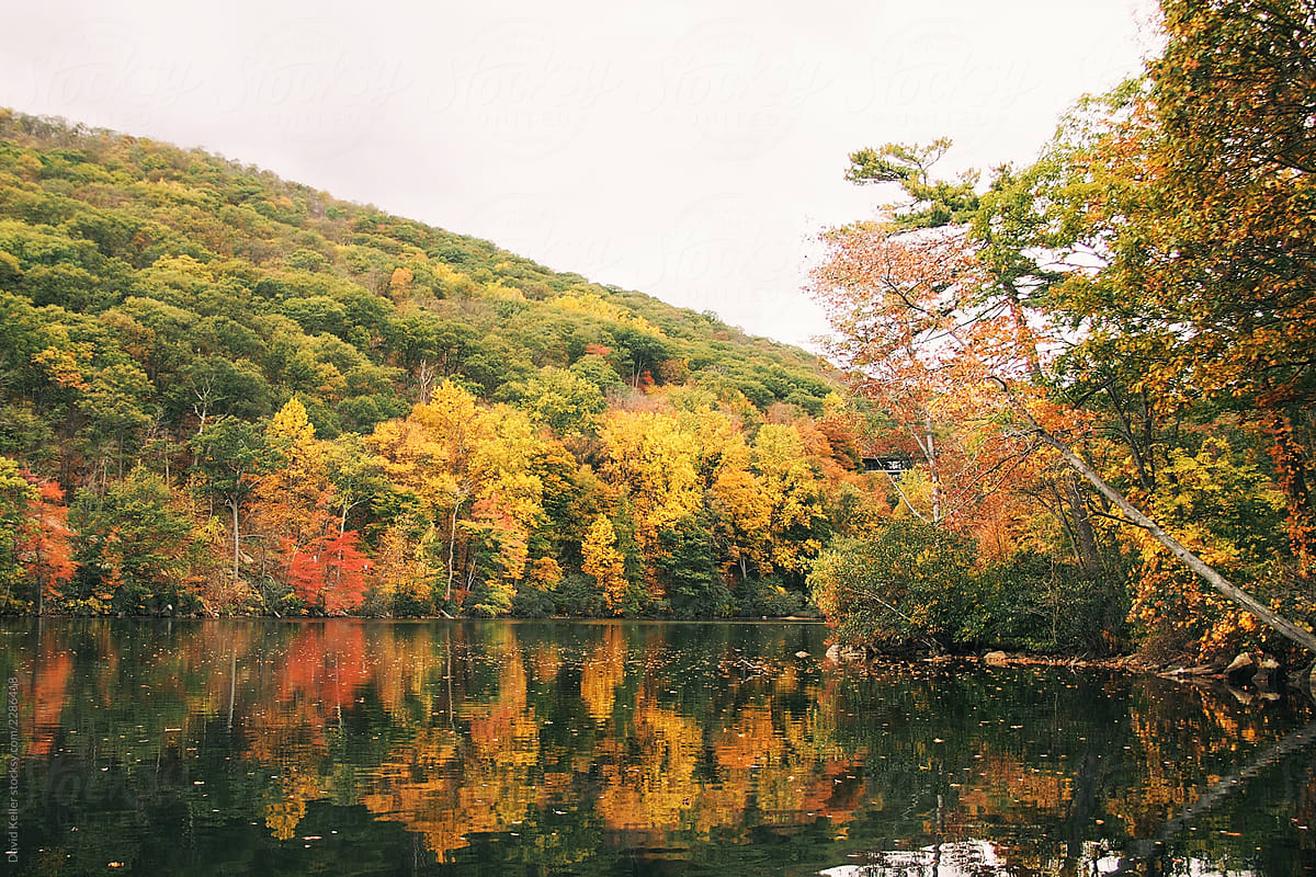 "A Morning Reflection Of Hessian Lake In Upstate New York On A ...