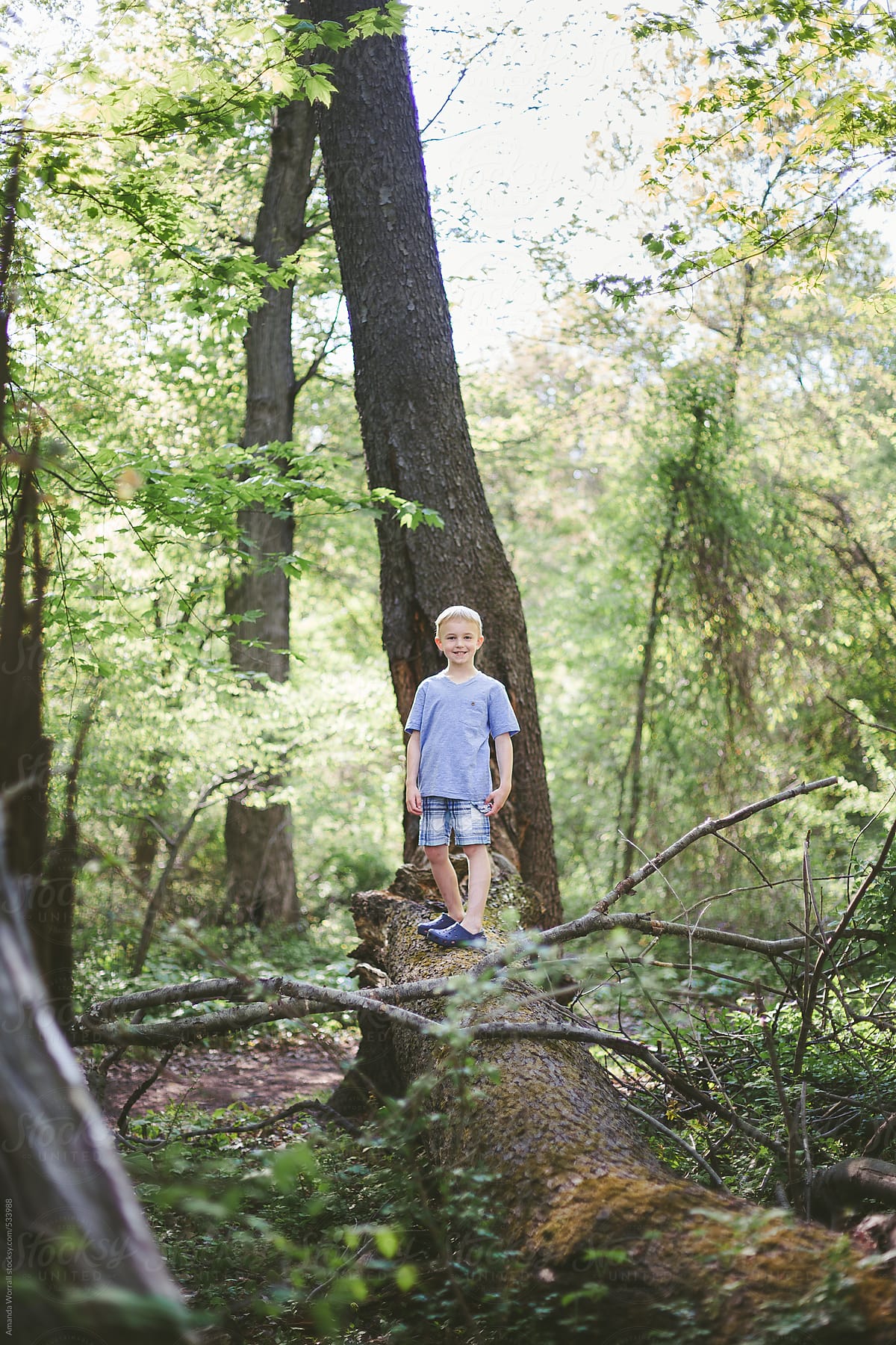 "Boy Balances On A Fallen Log In The Woods" by Stocksy Contributor ...