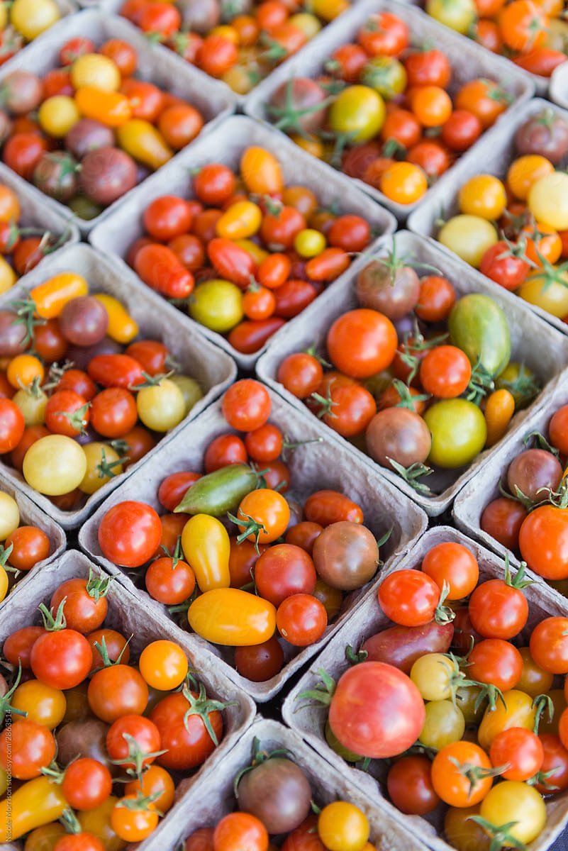 "Farmer's Market Tomatoes" by Stocksy Contributor "Nicole Morrison ...