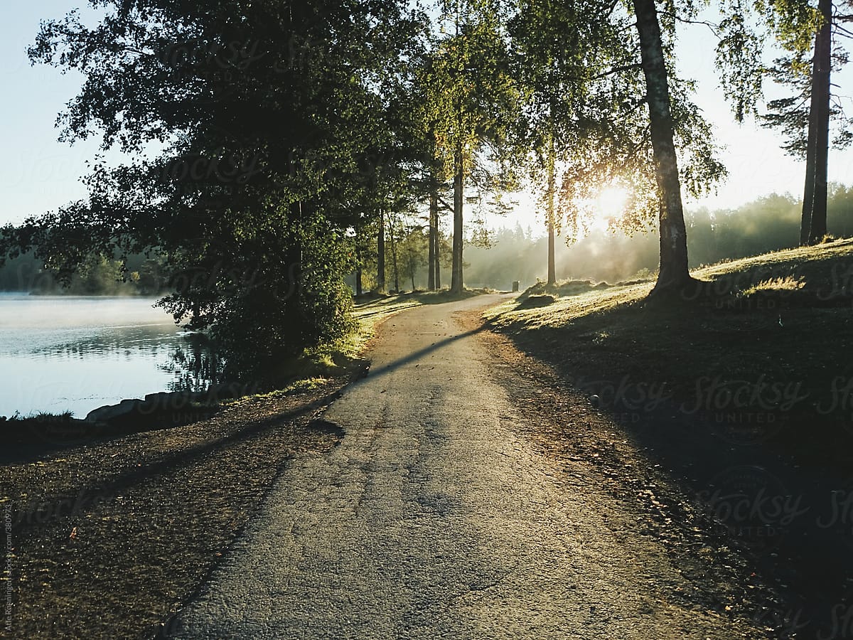 "Sunrise At A Misty Lake In Oslo, Norway (mobile)" by Stocksy ...