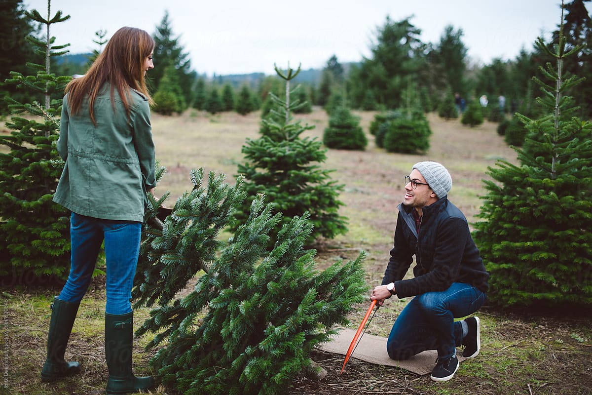 "Attractive Young Couple Cutting Down Their Christmas Tree." by Stocksy ...