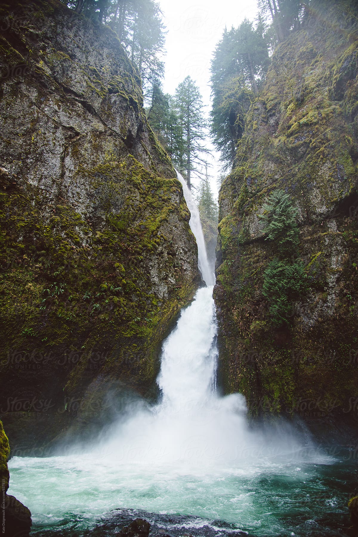 "Stunning Waterfall In The Pacific Northwest" by Stocksy Contributor ...