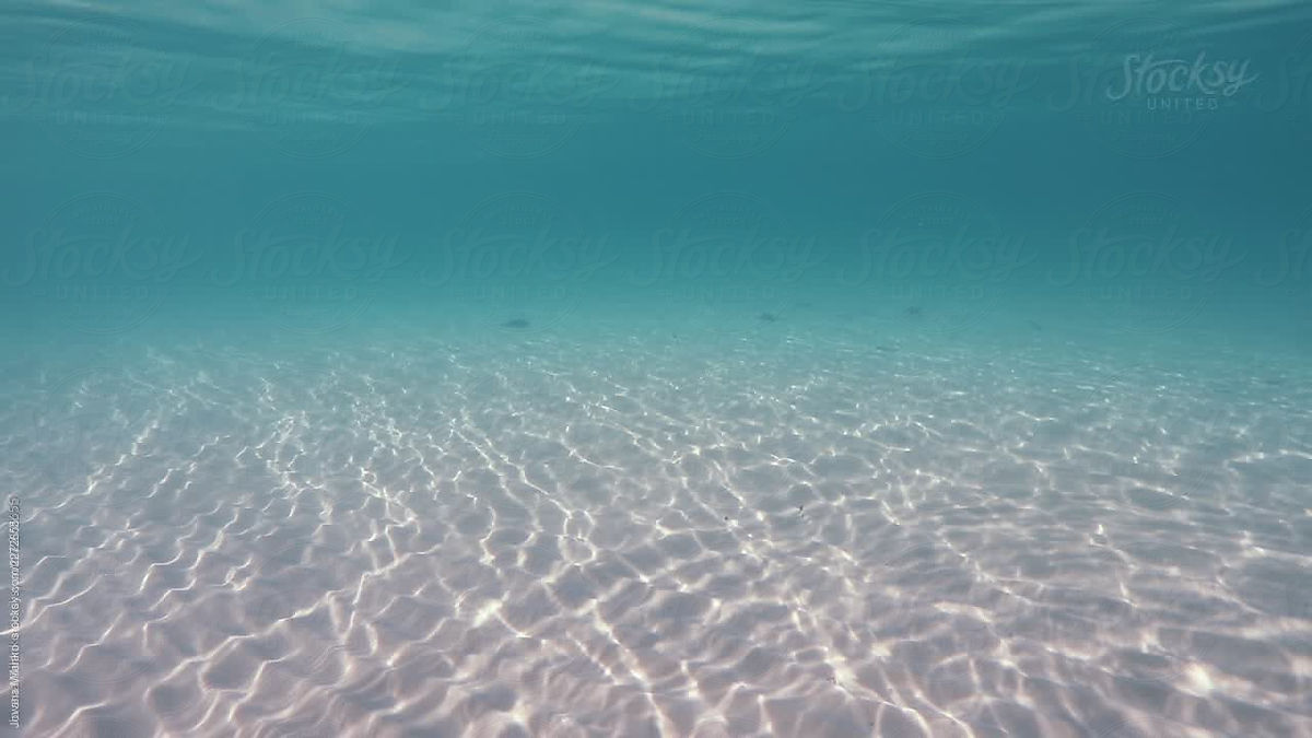 "Transparent Tropical Sea Shallow Water" by Stocksy Contributor "Jovana ...