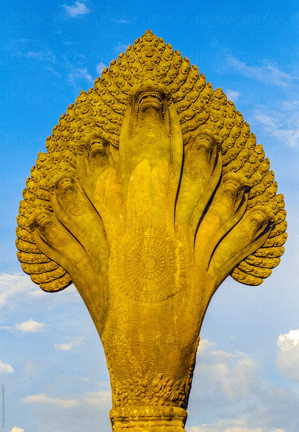 "Naga - Keeper Of Ancient Knowledge" by Stocksy Contributor "Yury ...