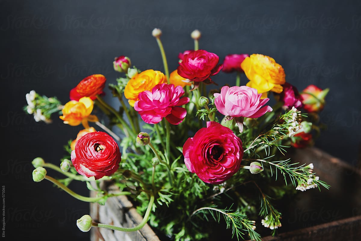 "Arrangement Of Spring Blooms" by Stocksy Contributor "Ellie Baygulov ...