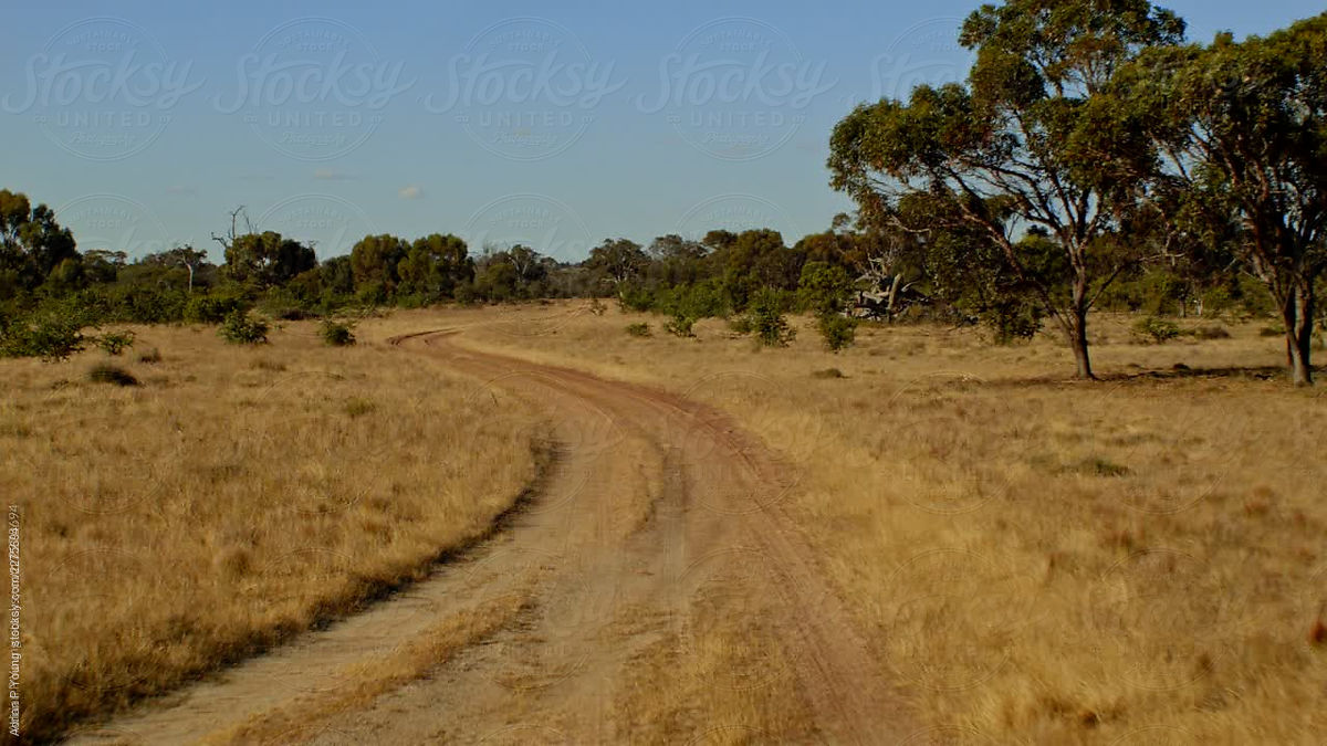 "Off-Road Trip In The Australian Bush" by Stocksy Contributor "Adrian P ...