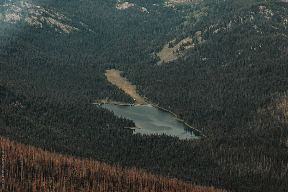 "Fish Lake USFS Airport S92" by Stocksy Contributor "Justin Mullet ...