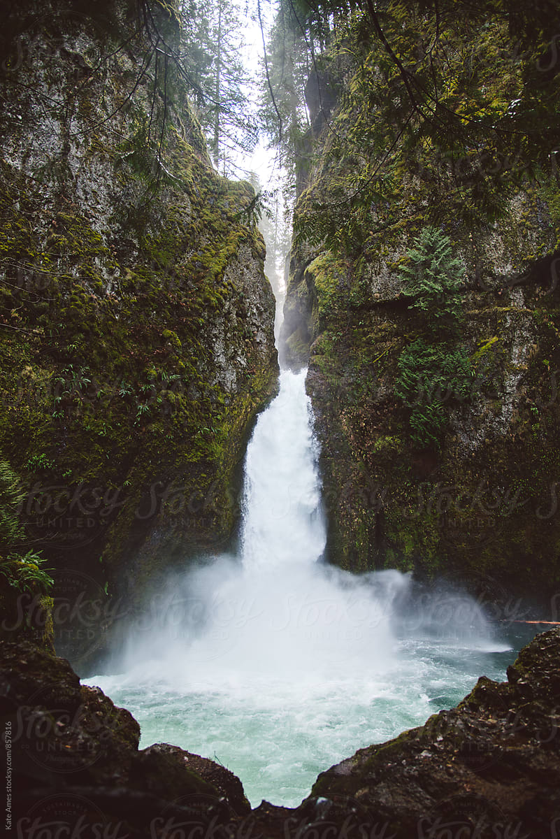 "Stunning Waterfall In The Pacific Northwest" by Stocksy Contributor ...