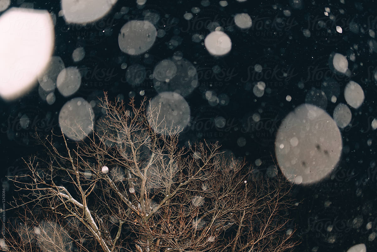 "Snow Falling At Night" by Stocksy Contributor "Chelsea Victoria" - Stocksy